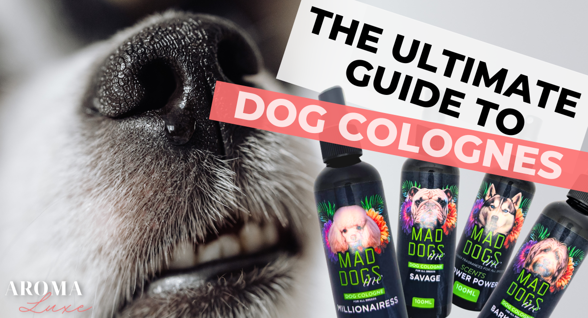 The Ultimate Guide to Dog Colognes: Safety, Benefits & How to Keep You ...
